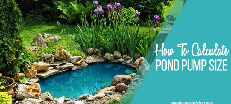 Pond Pumps - Best Pond Pump Advisors